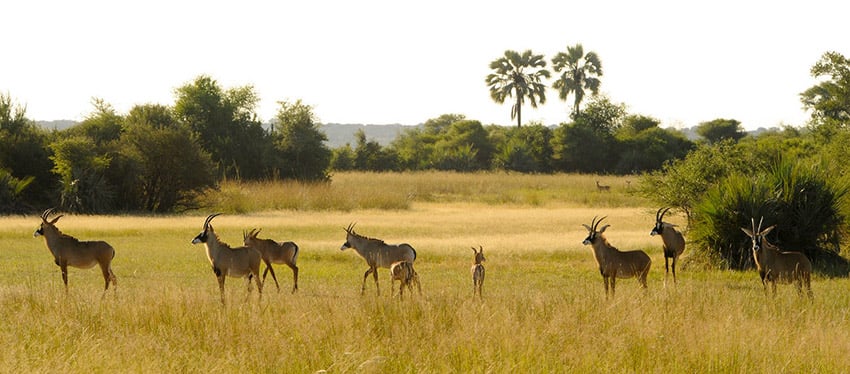 The 3 best undiscovered Namibian National Parks