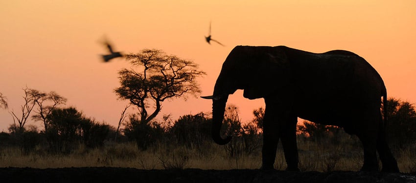 The 3 best undiscovered Namibian National Parks