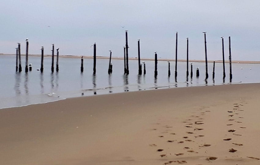 My favourite beaches along the coast of Namibia