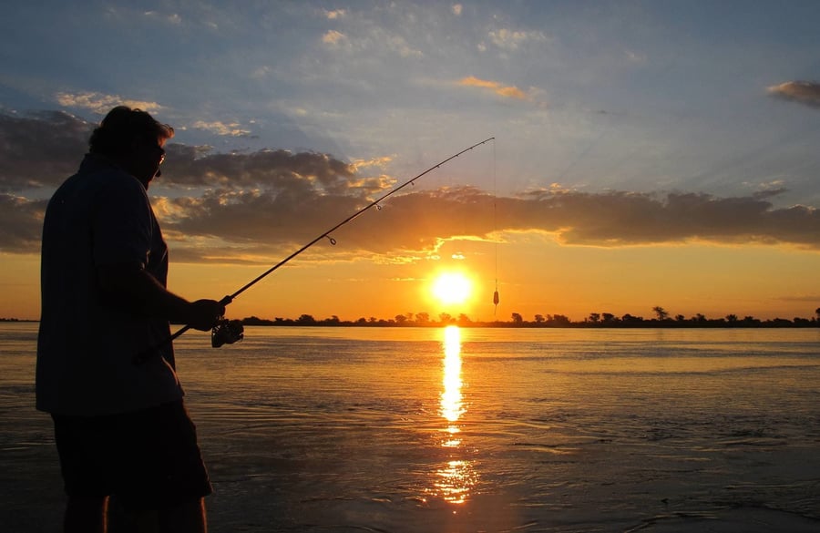 Gondwana Collection's promotions for safaris and travel in Namibia