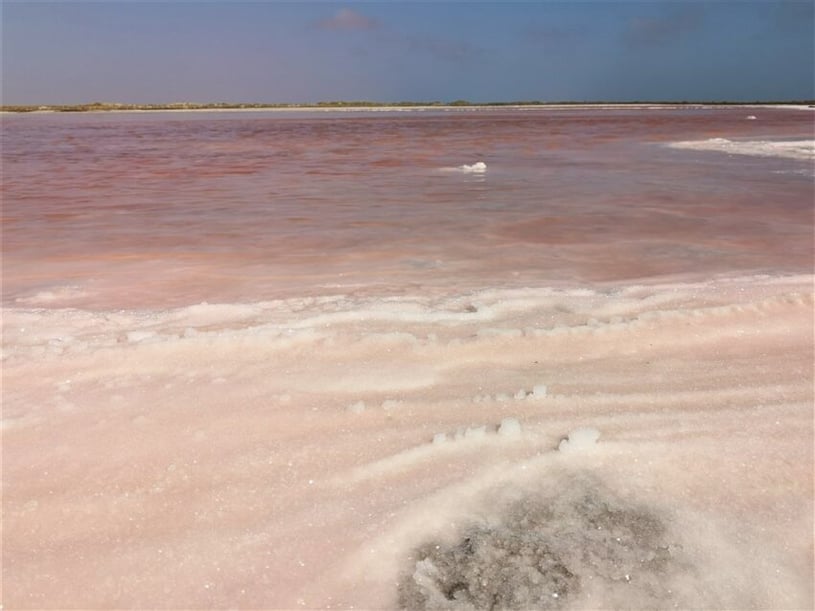 Ten fun facts about Sandwich Harbour in Namibia