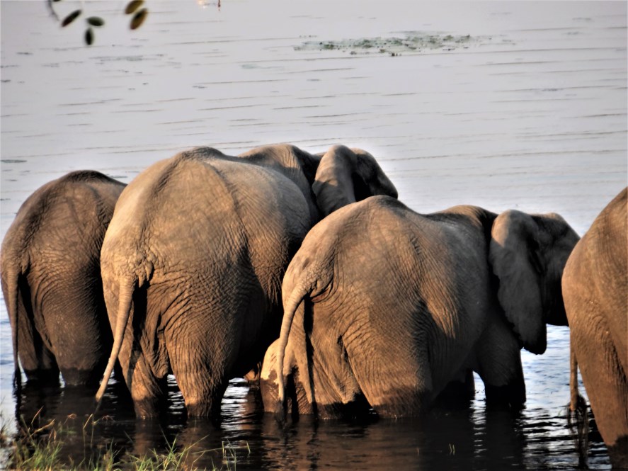 Why should you visit the Bwabwata National Park in Namibia?