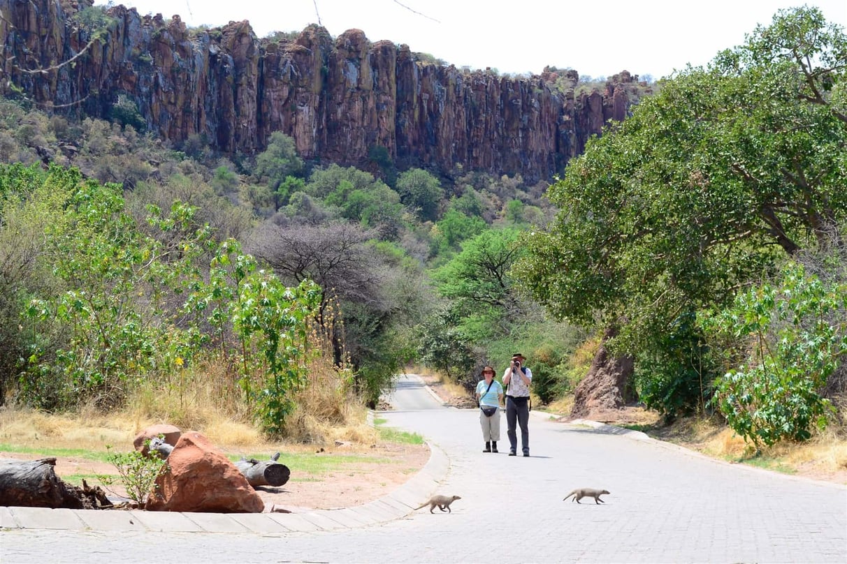 Why is Waterberg Plateau Park in Namibia so extraordinary?
