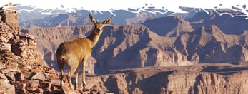 How the Fish River Canyon should be experienced