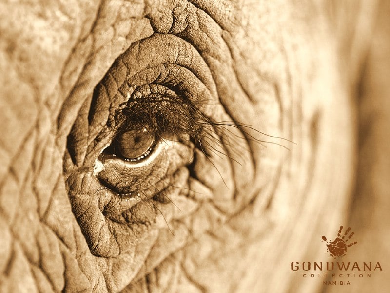 Gondwana Collection Namibia Desktop Screensavers