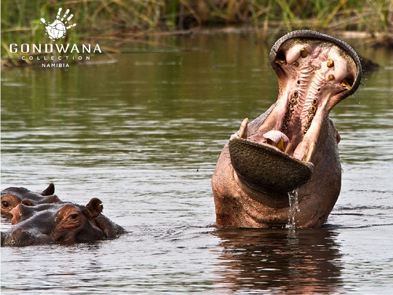 Gondwana Collection Namibia Desktop Screensavers
