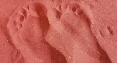 Journey to Namibia - Not just another Kalahari story