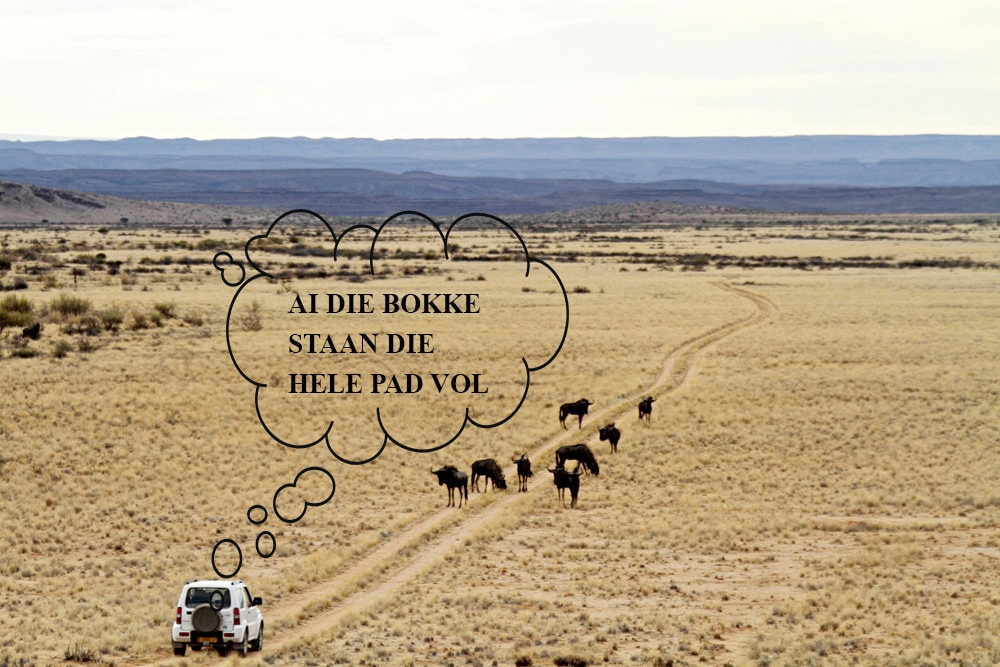 Learn how to speak the local language in Namibia!