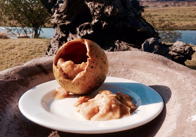 Have you ever seen a Monkey Orange Fruit in Namibia?