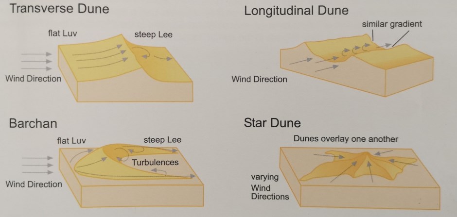 Get to know Namibia’s fascinating dune landscape – the four main dune types