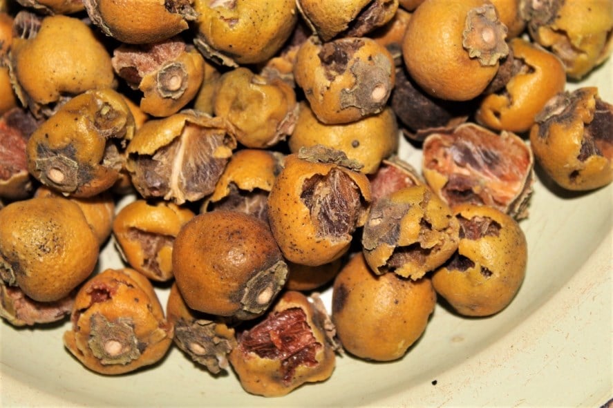 Culturally inspired snacks to try in Namibia