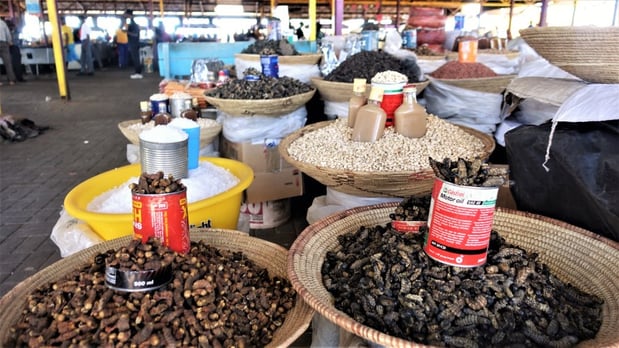 Culturally inspired snacks to try in Namibia