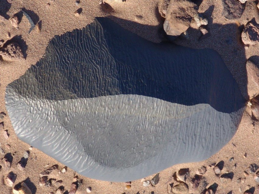 The pebble-collectors: Finding inspiration on Namibia’s stony floor