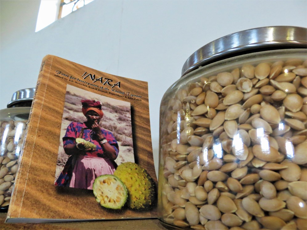 Uses of the !Nara plant in Namibia