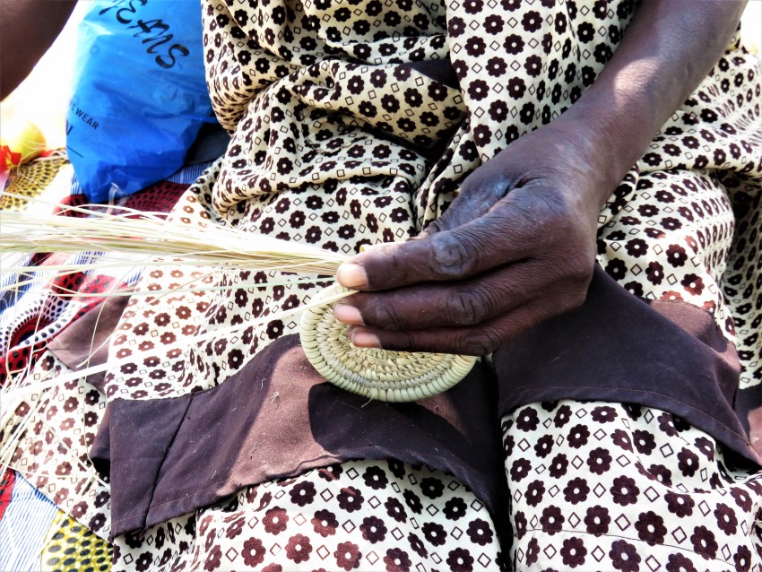 Is the Makalani Palm tree in Namibia really that useful?