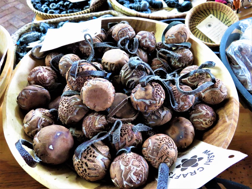 Is the Makalani Palm tree in Namibia really that useful?