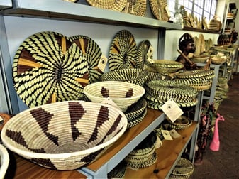 Is the Makalani Palm tree in Namibia really that useful?