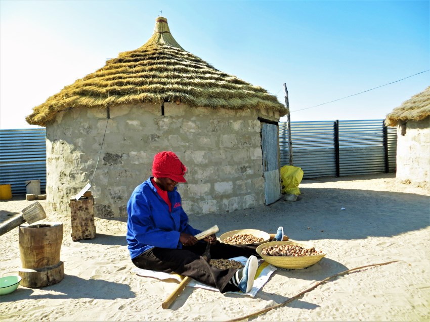 Benefits of using Marula oil from Namibia