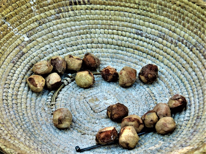 Benefits of using Marula oil from Namibia