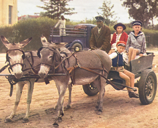 Donkey carts: The 4x4s of rural Namibia
