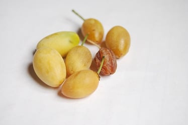 Have you tasted Eembe in Namibia?