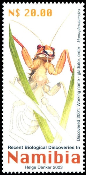 Gladiator - Predatory Insect creates a new Order