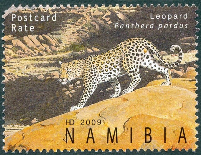 Leopard: How it got its Spots & other Secrets