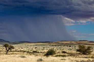 Travelling to Namibia – but when?