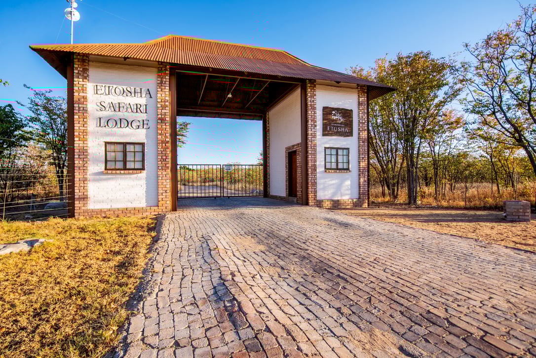 The Origin of the Gondwana Collection Namibia Card