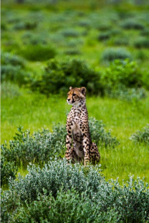 The picturesque 4 seasons of Namibia