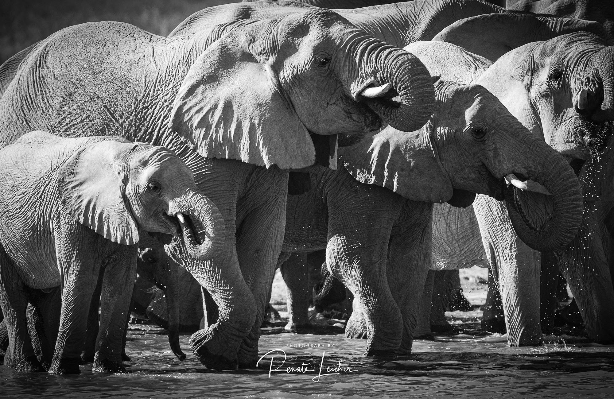 Win Big with your Gondwana Card