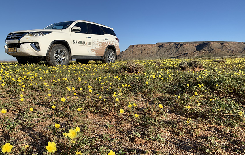 Green Season Special - Gondwana Card Promotion