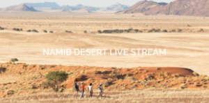 Namib Desert Live Stream